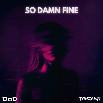 DnD Music & TristanK - So Damn Fine